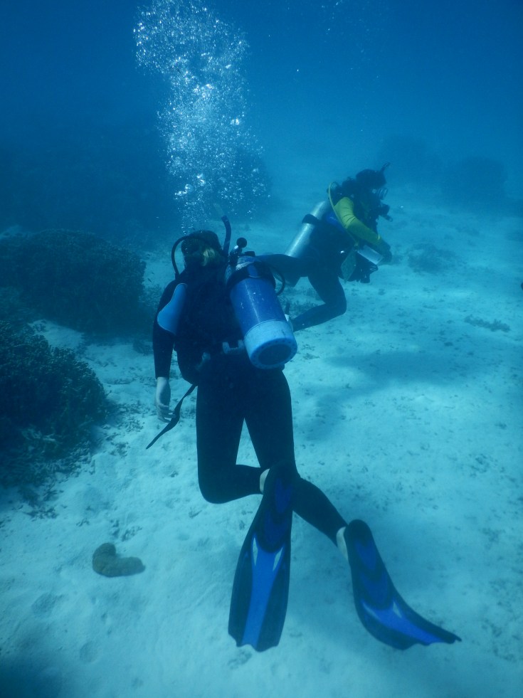 Lady Musgrave Reef – a yacht more to life